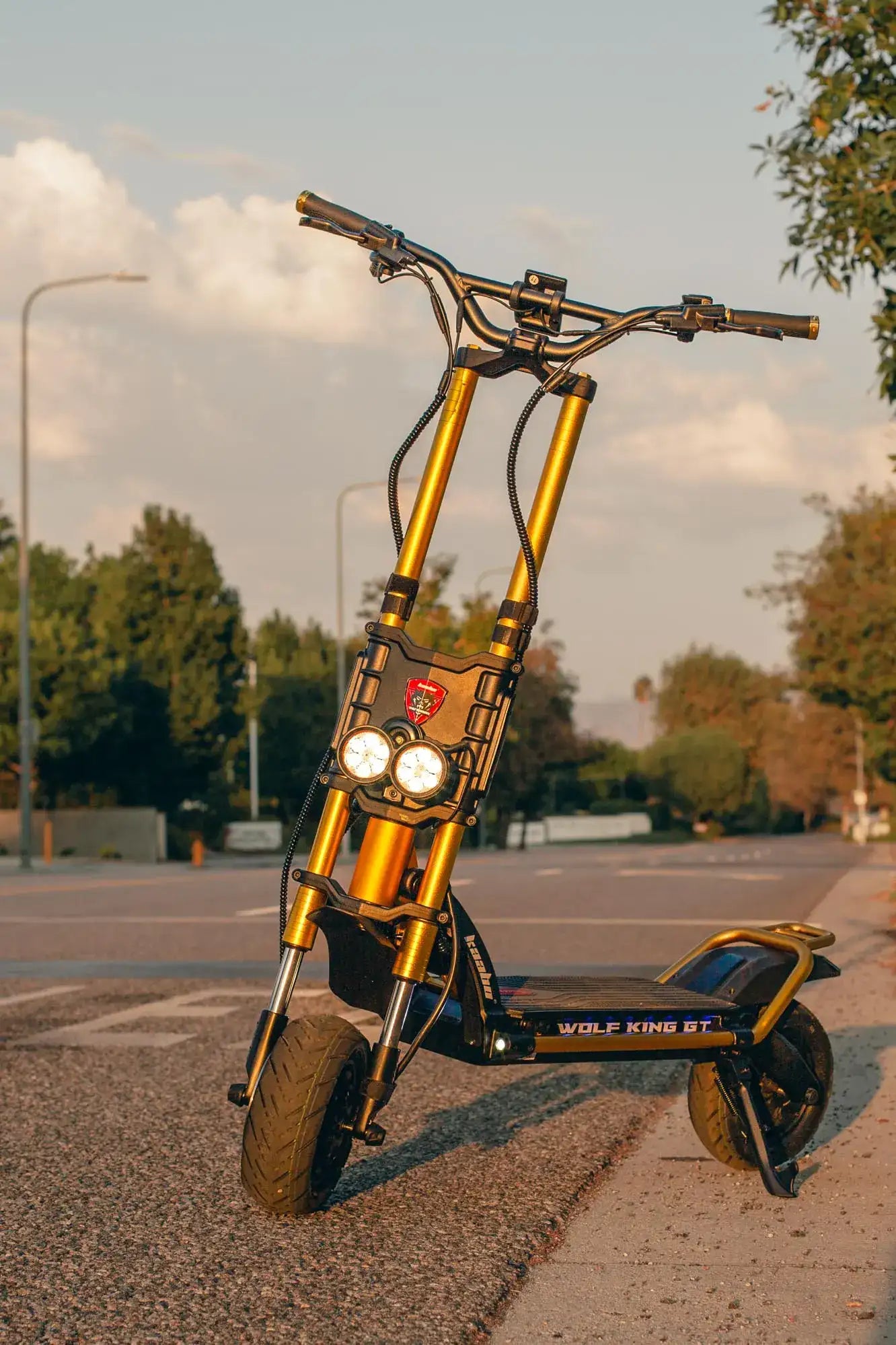 Kaabo Electric Scooters - VORO MOTORS