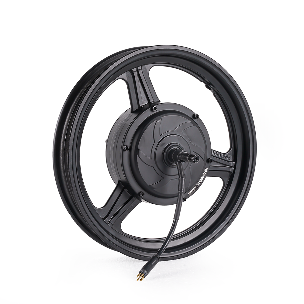 Home 500W/350W Motor for Roadrunner