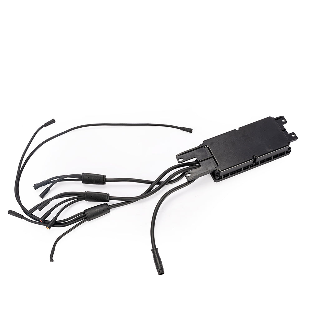 Home Central Controller Module for Inmotion RS Midnight